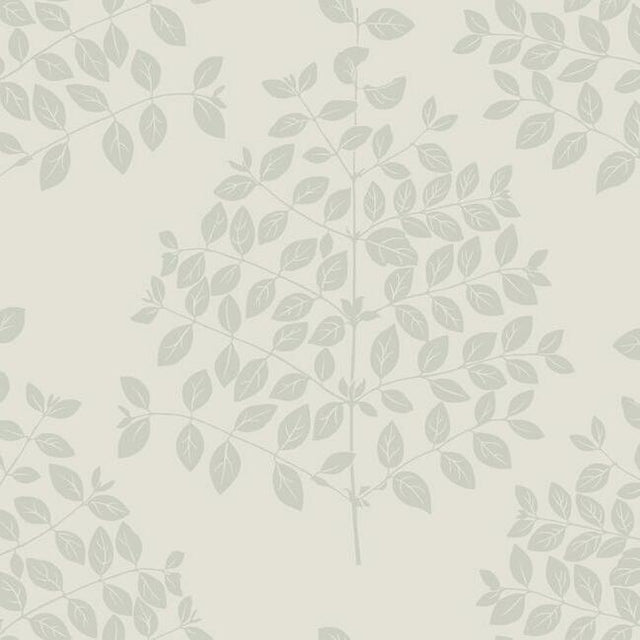 OS4251 Cream Silver Tender Wallpaper | The Fabric Co