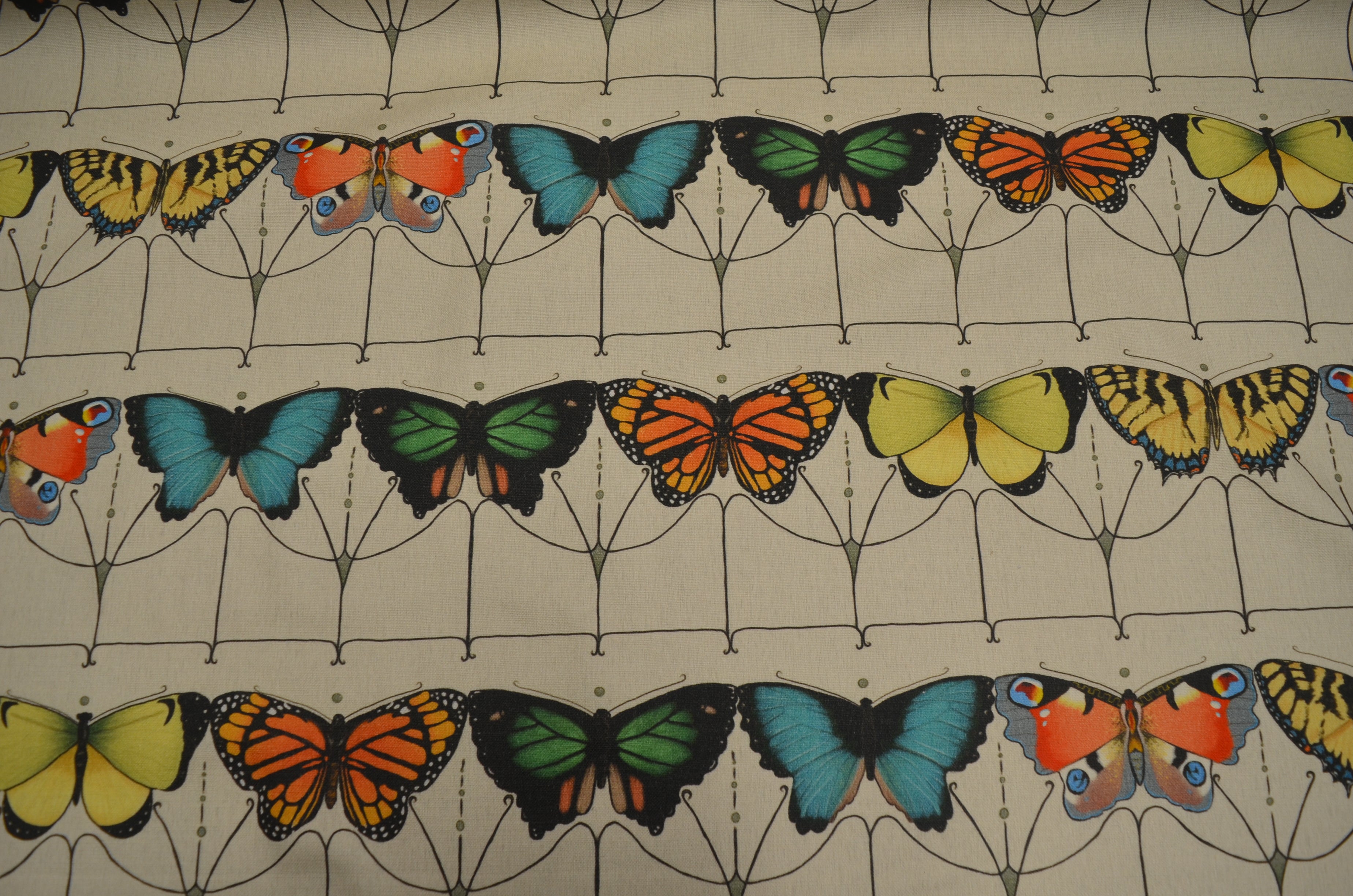 Papillon Carnival Fabric | Vibrant Butterfly Cotton Print